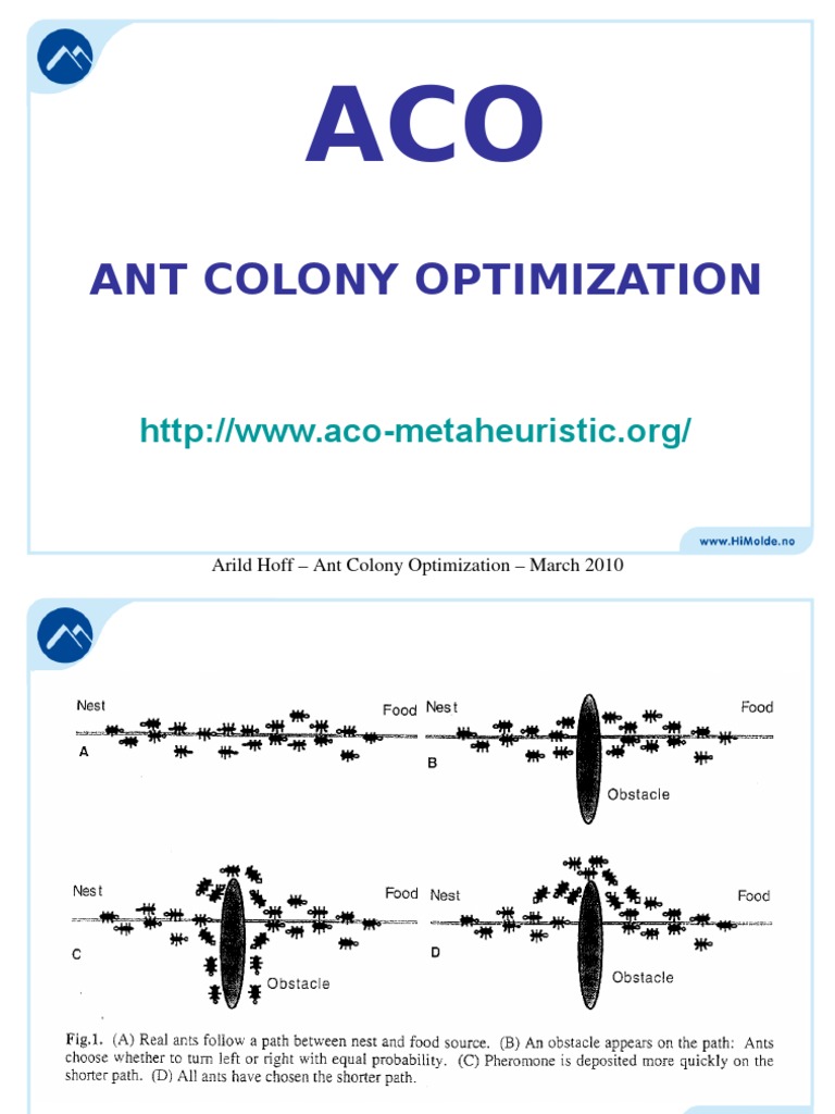 Ant Colony Optimization | PDF