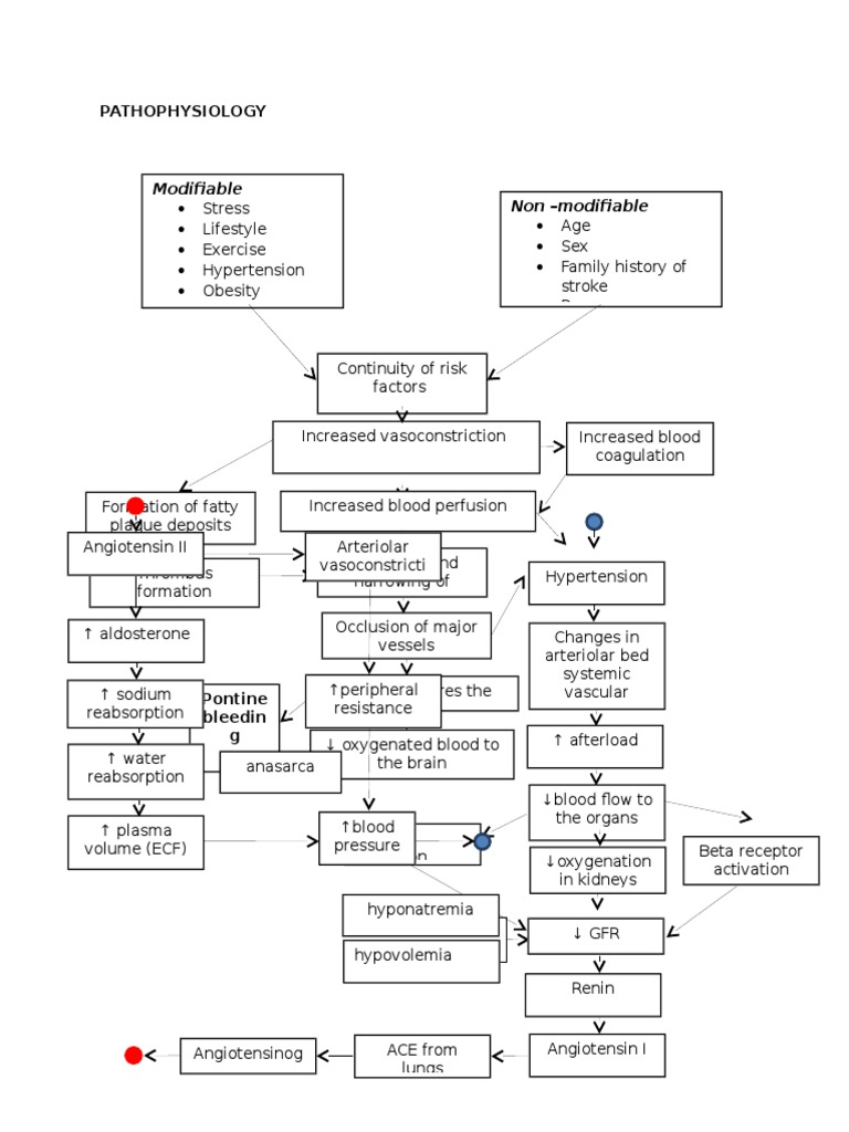 Pathophysiology Hemorrhagic Stroke