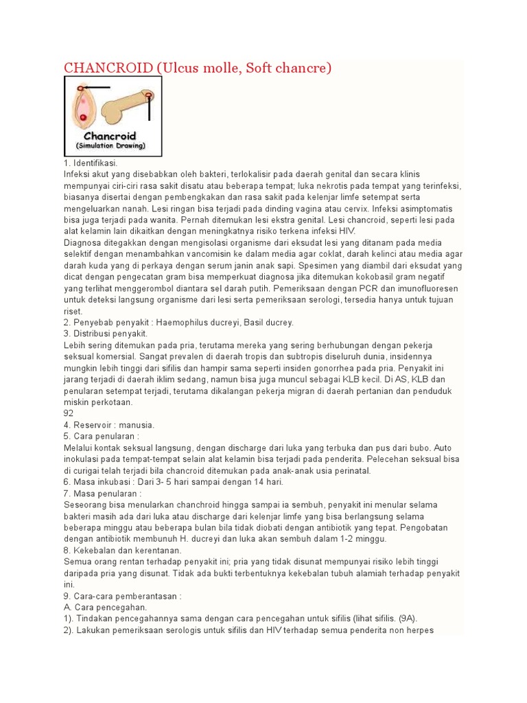 Chancroid | PDF