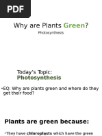 Photosynthesis | PDF | Photosynthesis | Plants