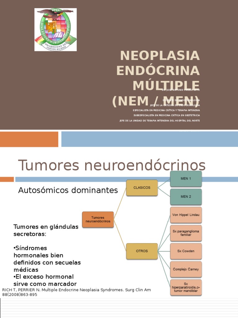 NEM | PDF | Páncreas | Cáncer