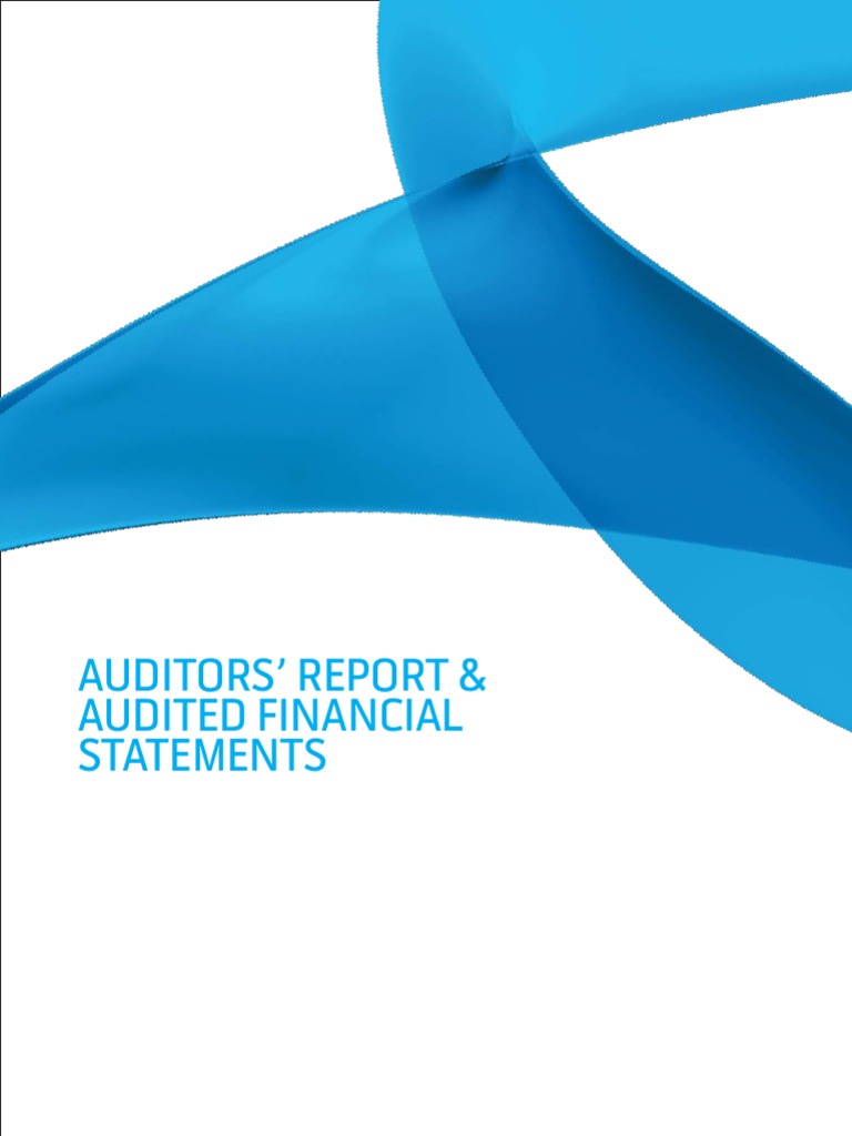 Auditors Report and Audited Financial Statements | PDF | Audit ...