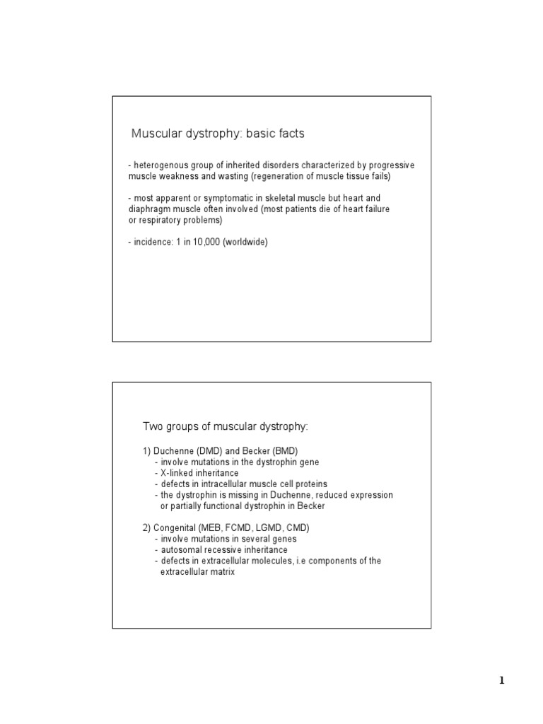 Muscular Dystrophy: Basic Facts | PDF | Muscular Dystrophy | Muscle