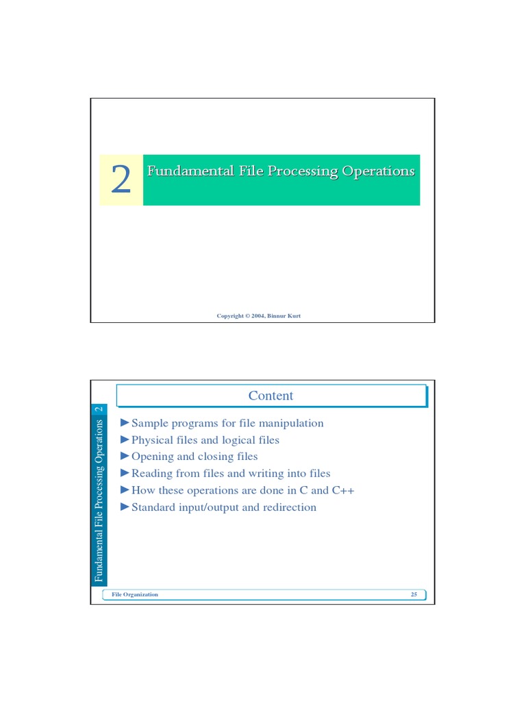 Lesson 2-3 Fundamental File Processing Operations | PDF | Data | Computing