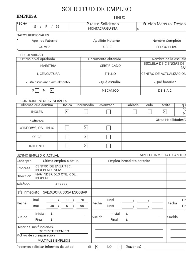Solicitud de Empleo | PDF | Informática | Informática y tecnología de la información