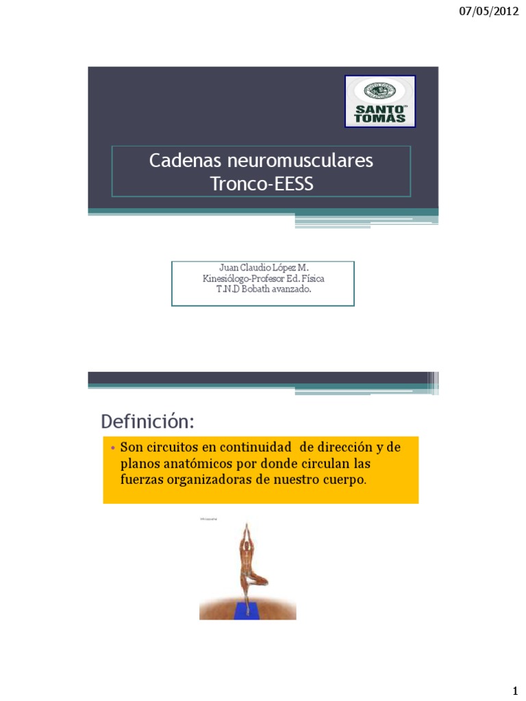Clase 4 Cadenas Neuromusculares Tronco-Eess 2012 | PDF | Tórax | Pelvis
