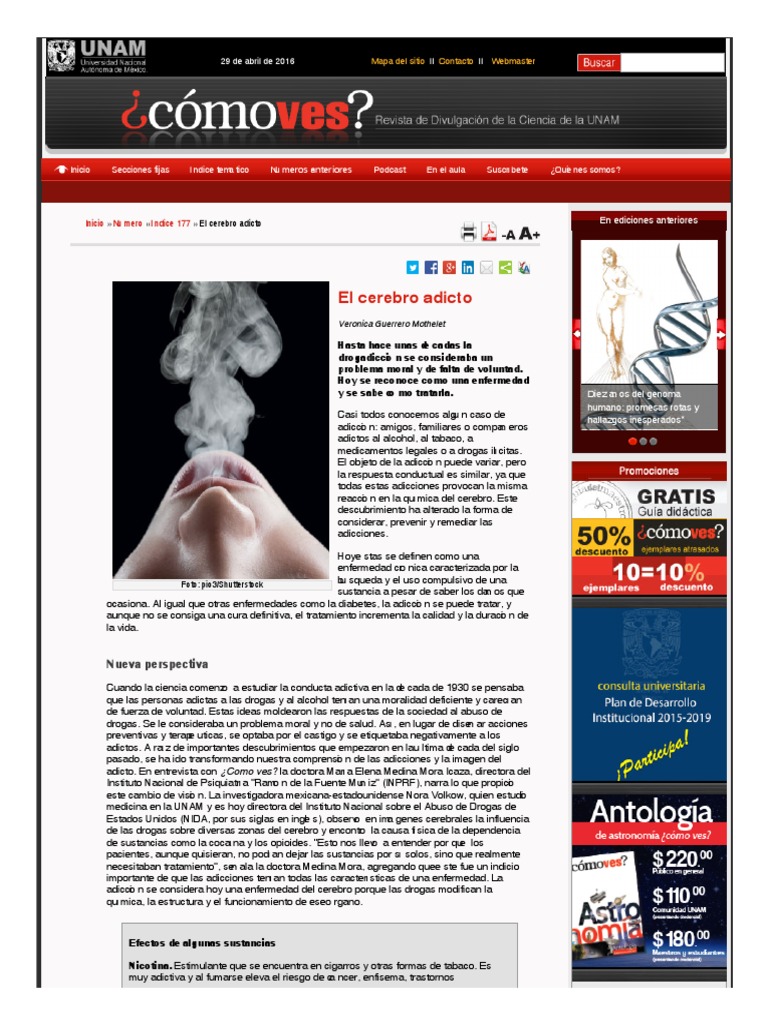 El Cerebro Adicto Revista ¿cómo Ves Dirección General De Divulgación De La Ciencia De La