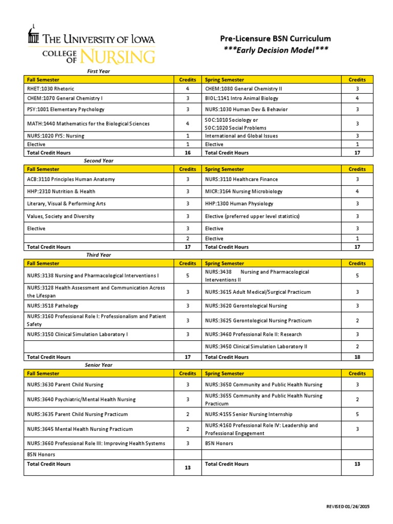 Pre-Licensure BSN Curriculum Overview | PDF