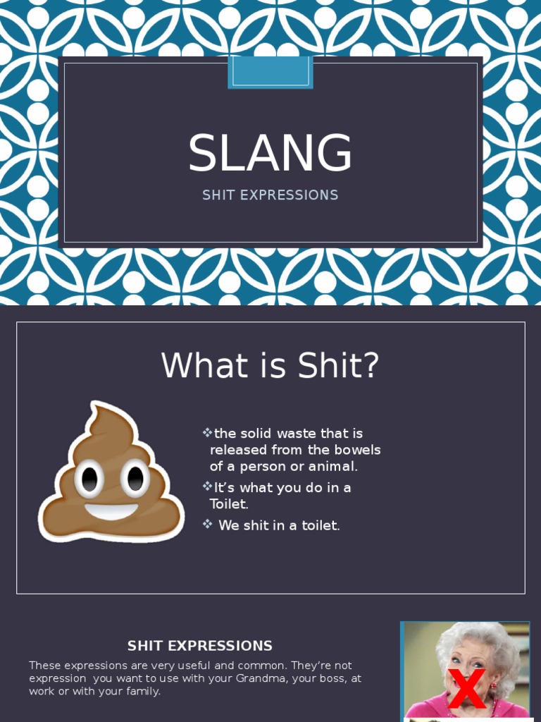 Slang Expressions With The Word Shit | PDF | Leisure