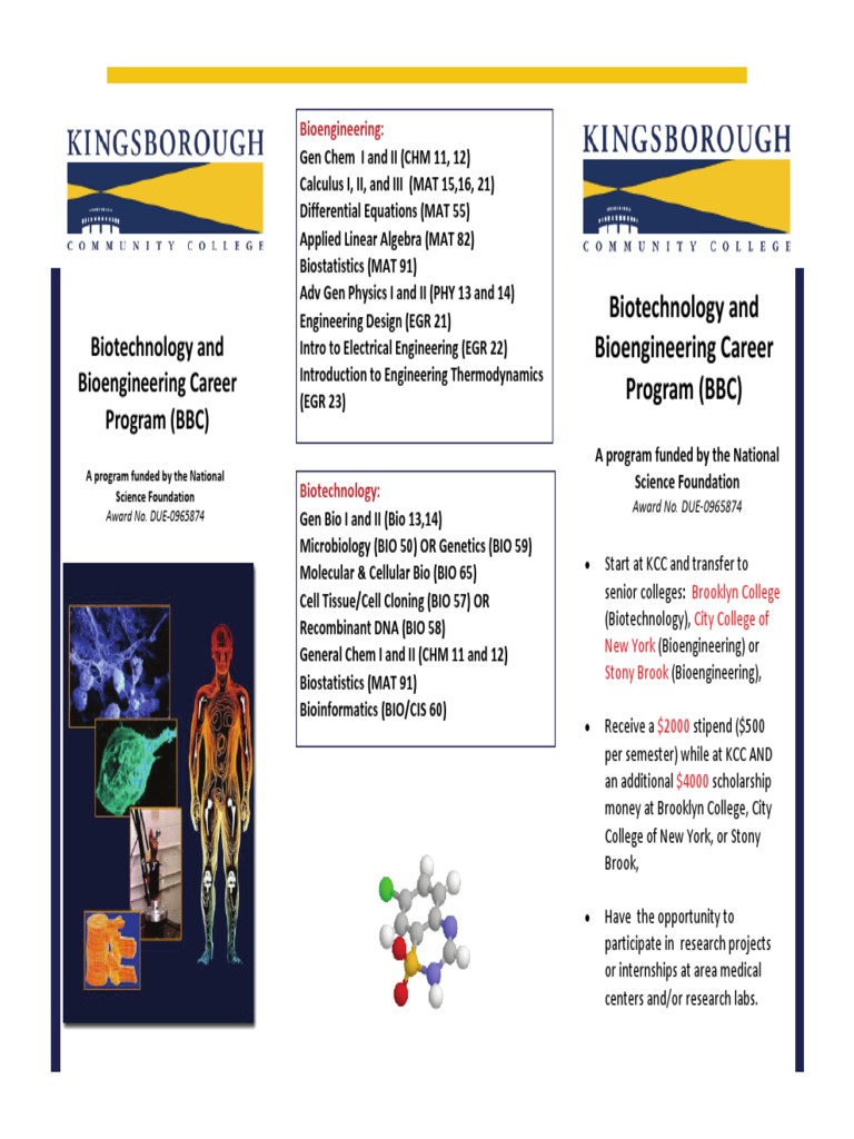 Kingsborough Program BBC | PDF