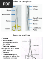 Instrumental de Histerectomia Corregido | PDF | Abdomen | Cirugía