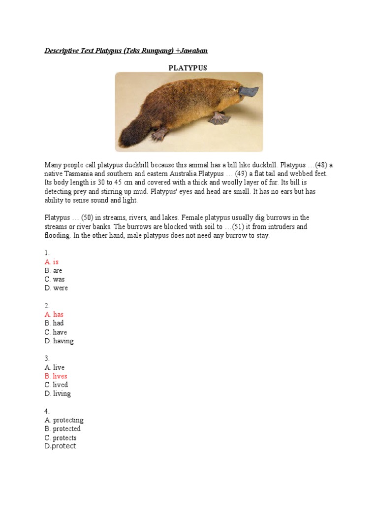Descriptive Text Platypus (Teks Rumpang) +jawaban | PDF