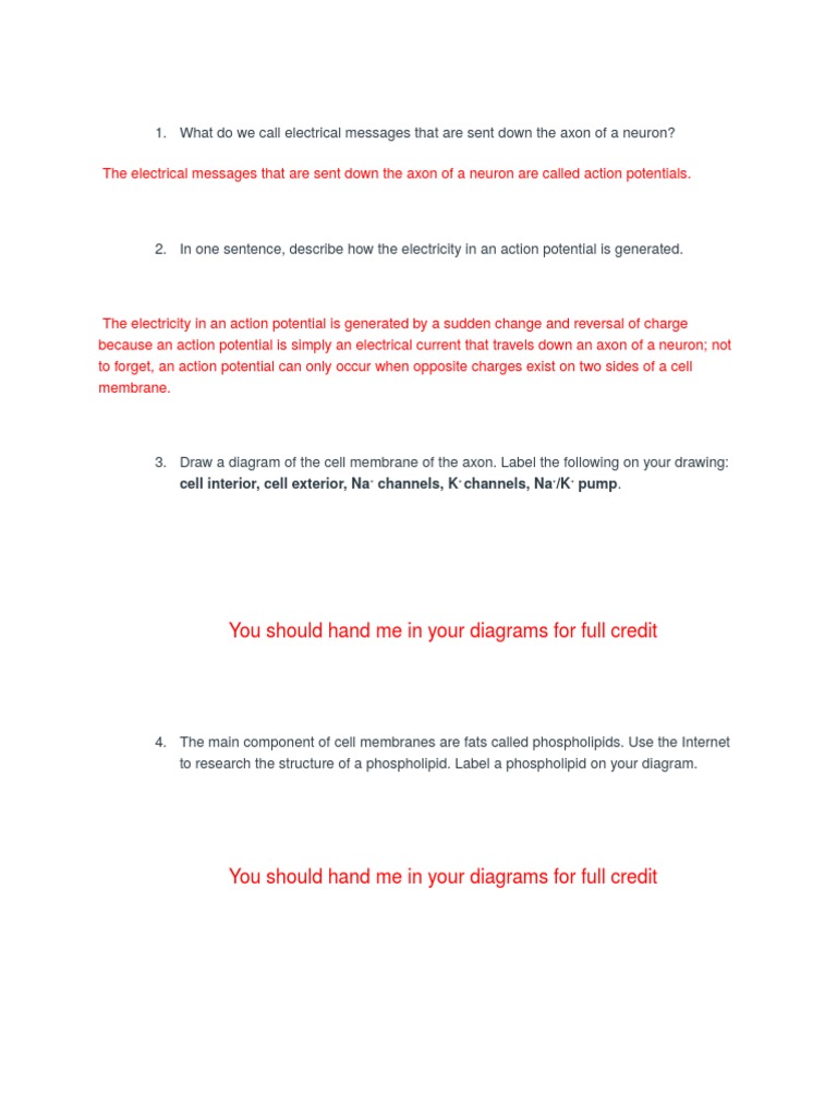 Student Resource Sheet 2 2 2 | PDF | Lipid Bilayer | Neuron