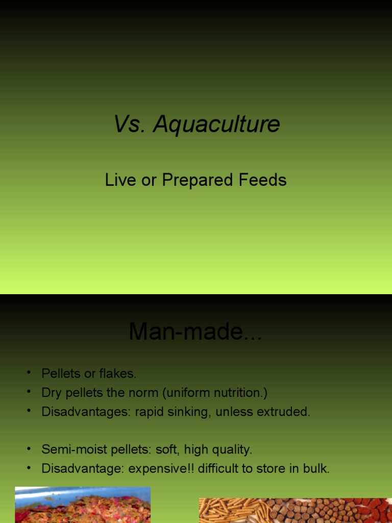 Vs. Aquaculture: Live or Prepared Feeds | PDF | Aquaculture | Nature