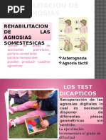 Test de Isaacs | PDF