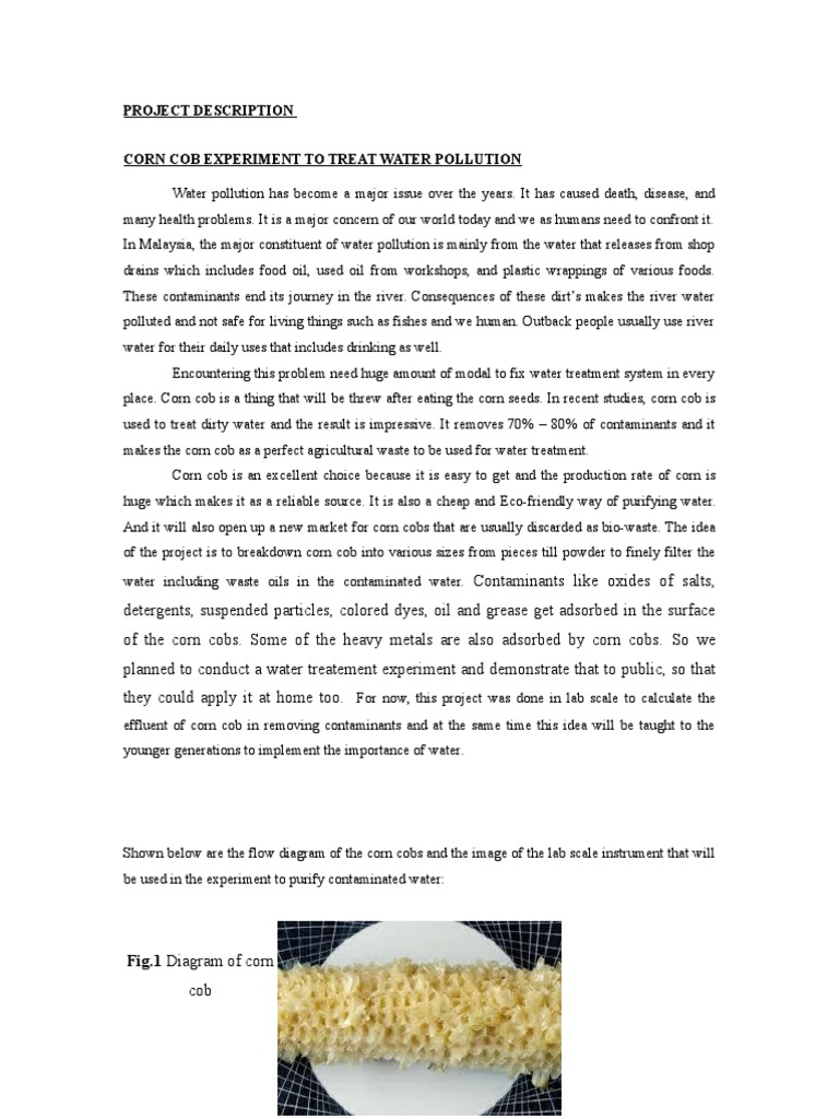 Society Corn Cob | PDF