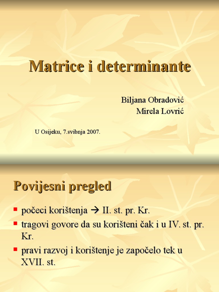 Prezentacija Matrica | PDF