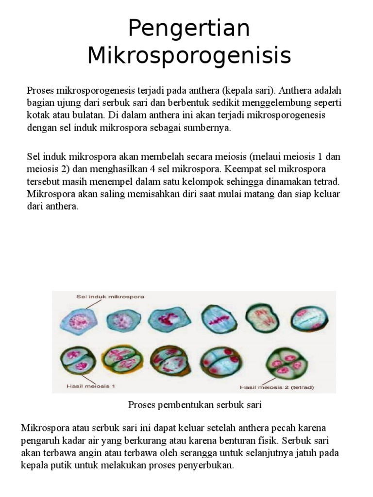Pengertian Mikrosporogenisis | PDF | Griya & Taman