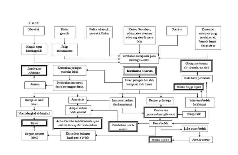 Pathway CA Caecum | PDF