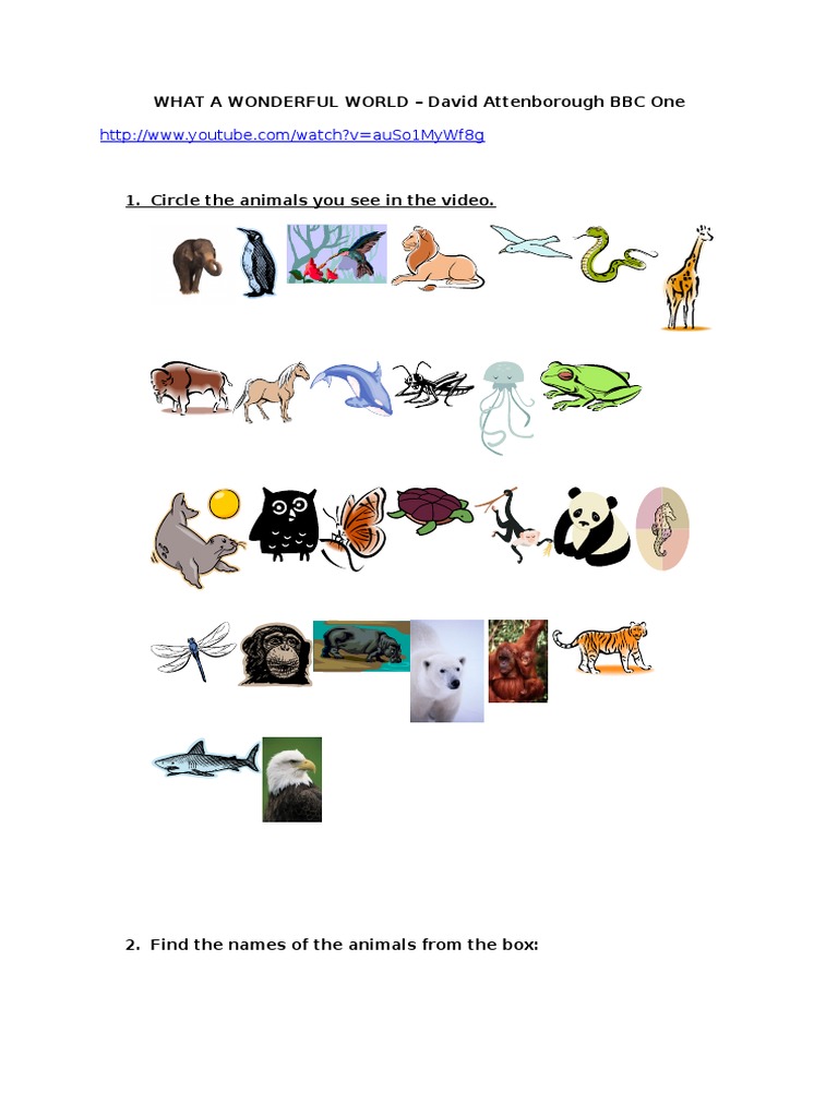 WHAT A WONDERFUL WORLD - David Attenborough BBC One | PDF