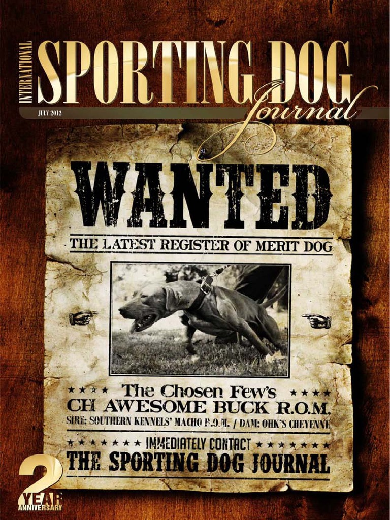 SDJ July 2012 PDF | PDF