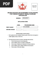 GIZ Application Form | PDF | Volunteering | Behavior Modification