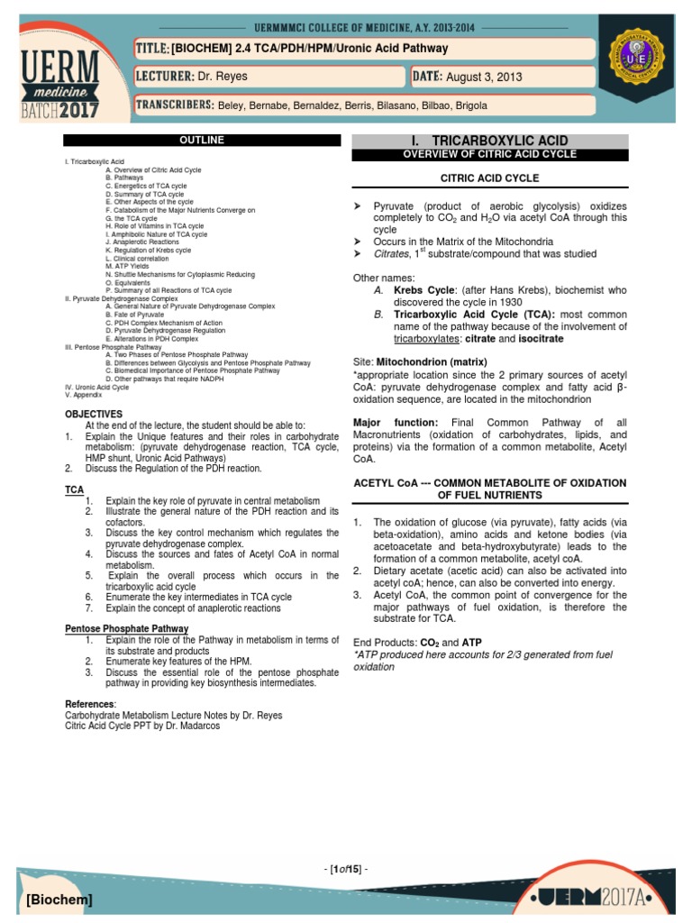 2.4 (Biochemistry) Tca HMP and Uronic Acid Pathway | PDF | Citric Acid Cycle | Diet & Nutrition