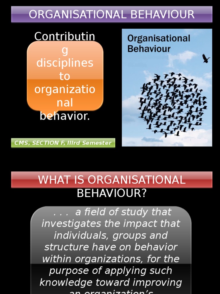 Disciplines of Ob | PDF | Organizational Behavior | Psychology