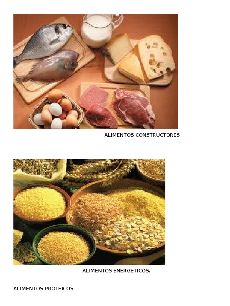 ALIMENTOS CONSTRUCTORES