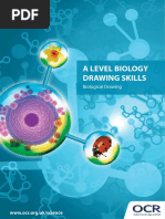 Advanced Biology Practical Skills | PDF | Absorbance | Chemistry