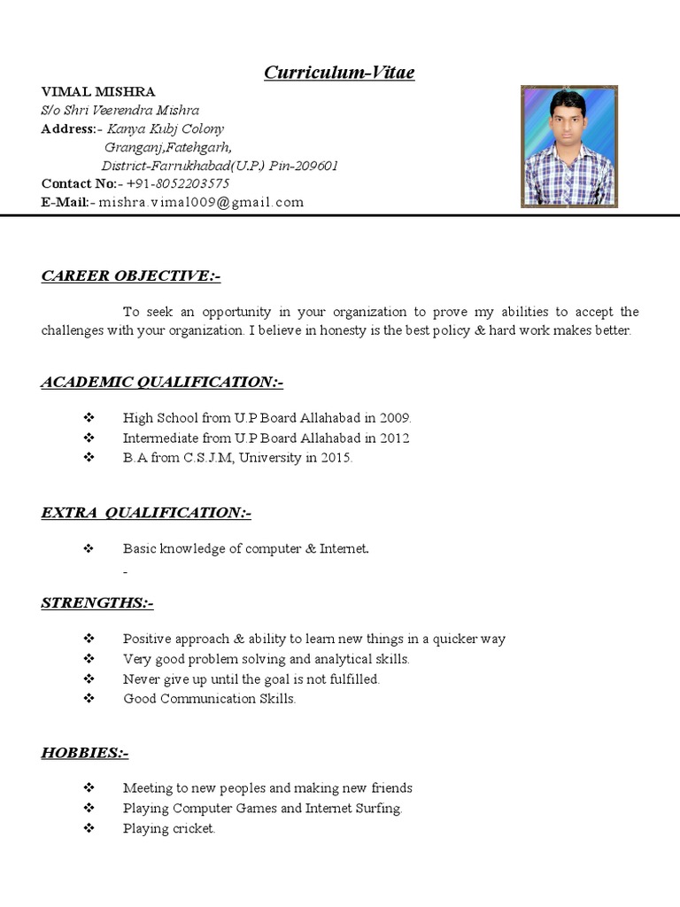 Vimal Mishra Resume | PDF