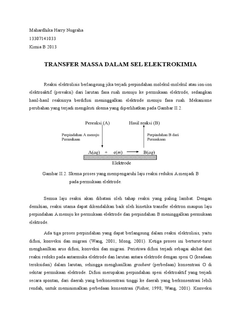 Transfer Massa Dalam Sel Elektrokimia | PDF