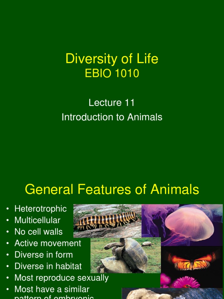 Diversity of Life: EBIO 1010 | PDF | Zoology | Biology