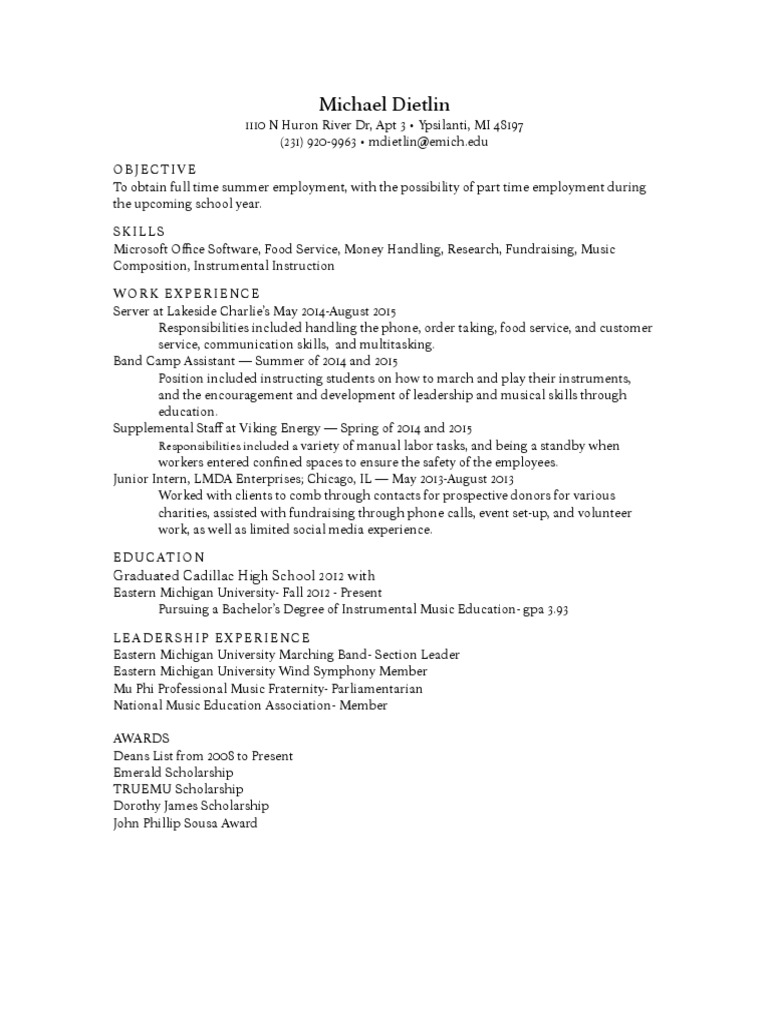 Michaels Resume | PDF