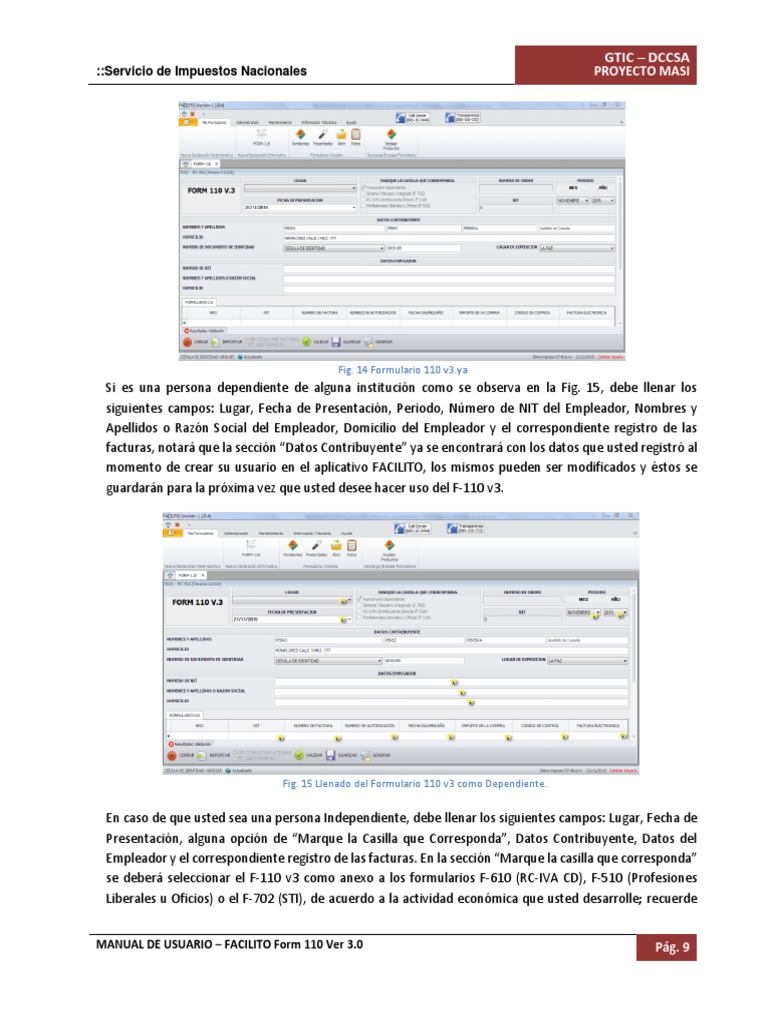 Como Llenar Form 110 Ver 3.0 PDF | PDF