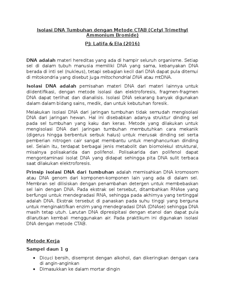 ISOLASI DNA TUMBUHAN DENGAN METODE CTAB | PDF