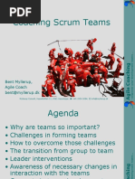 Agile Coach in A Nutshell | PDF | Agile Software Development | Mentorship