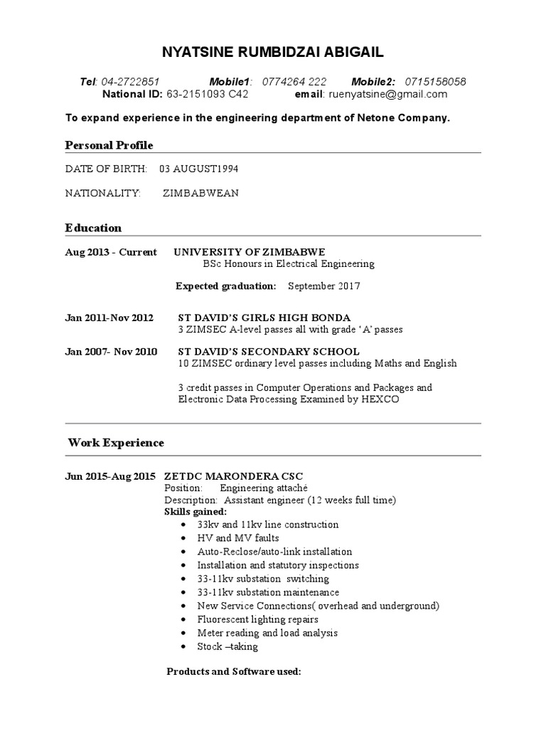 My CV | PDF | Microsoft Excel | Software