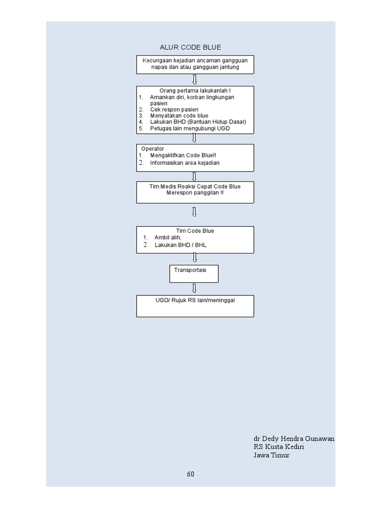 Bagan Alur Code Blue | PDF