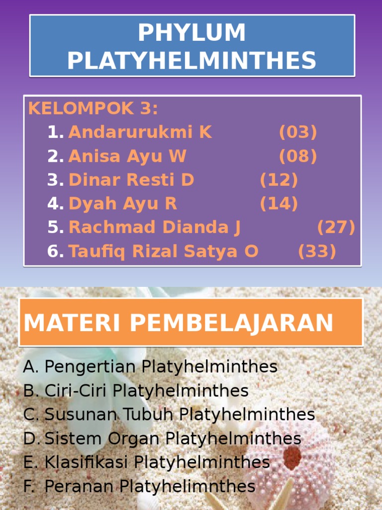 Phylum Platyhelminthes | PDF