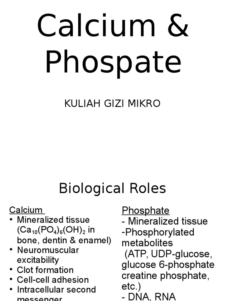 Calcium GZ Mikro 010413 | PDF | Calcium In Biology | Bone