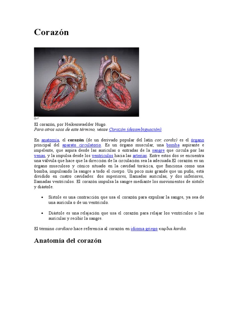 Concepto Del Corazón | PDF | Electrocardiografia | Circulación coronaria