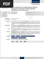 UTD Classification for Radiologists | PDF | Radiology | Urology