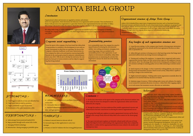 Aditya Birla | PDF | Organizational Structure | Organizational Culture