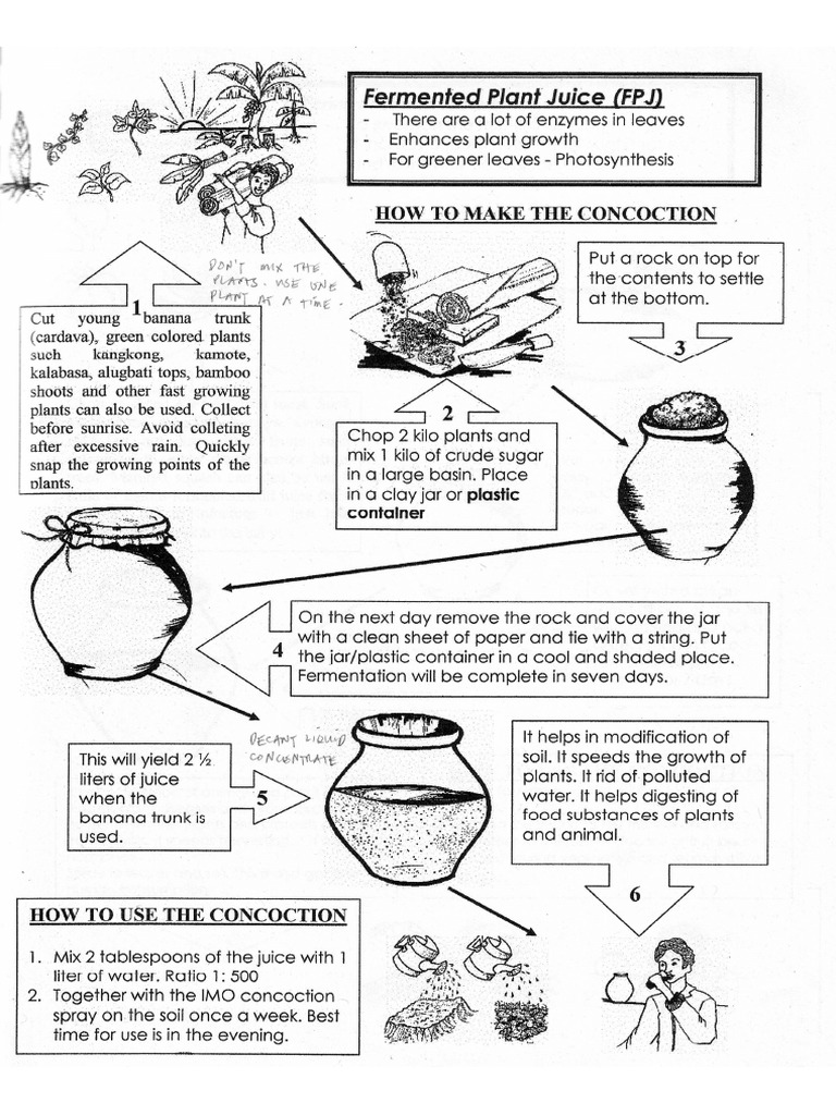 Fermented Plant Juice (FPJ) | PDF