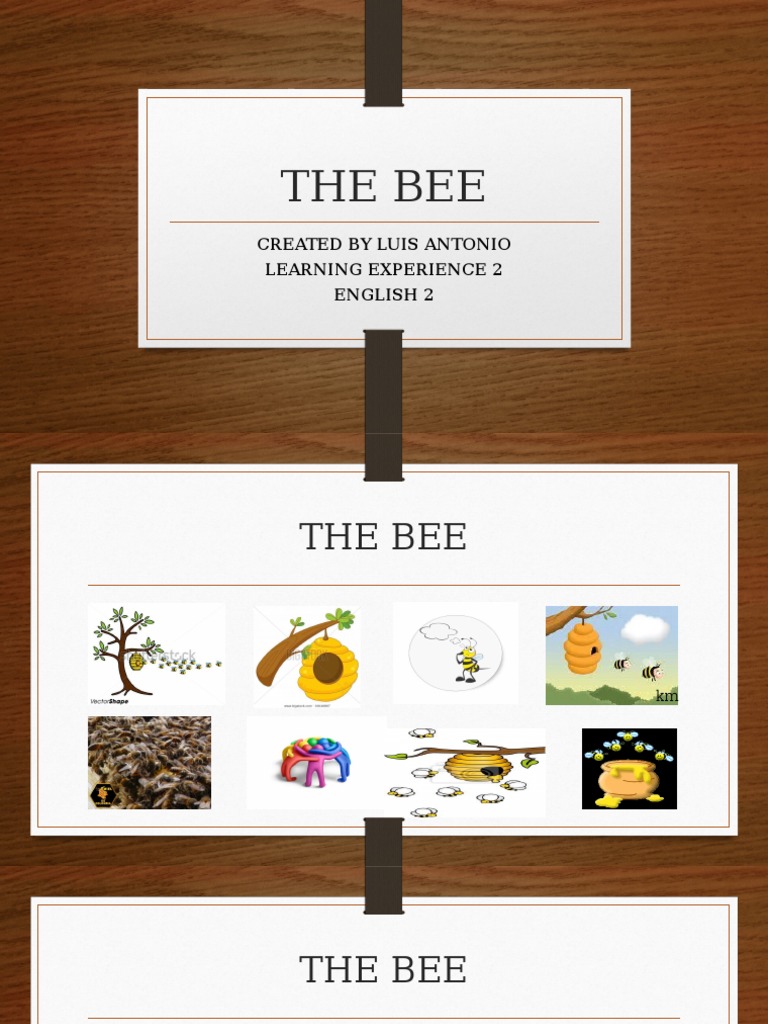 The Bee: Created by Luis Antonio Learning Experience 2 English 2 | PDF ...