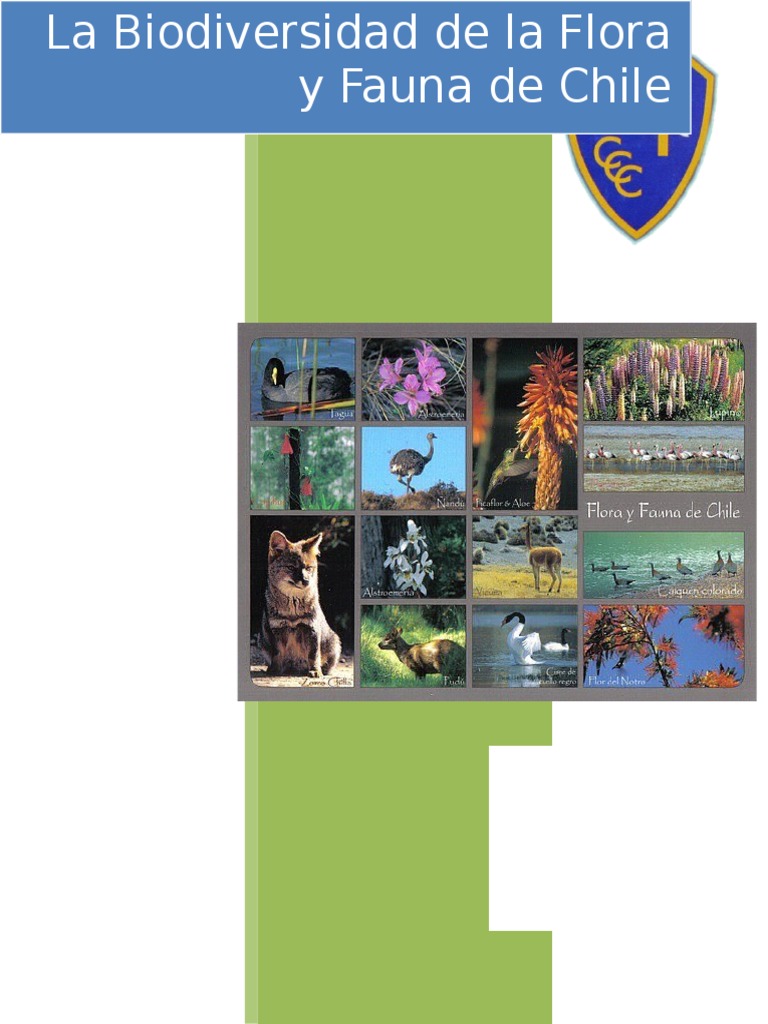 Biodiversidad de Flora y Fauna en Chile | PDF | Chile | Plantas