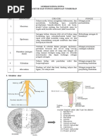 LEMBAR KERJA SISWA Struktur Jaringan Tumbuhan | PDF