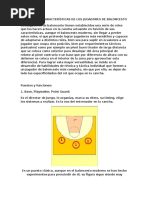 Tochito Cinta o Bandera | PDF | Pelota | Deportes