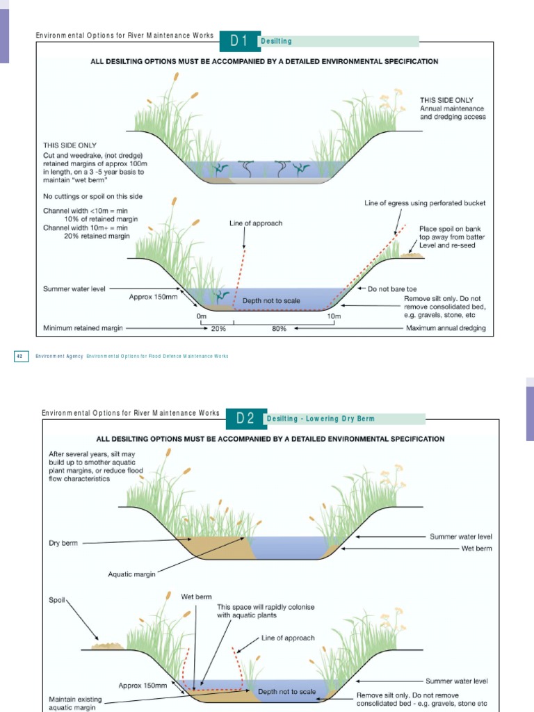 Environmental Options For River Maintenance Works Desilting Pdf